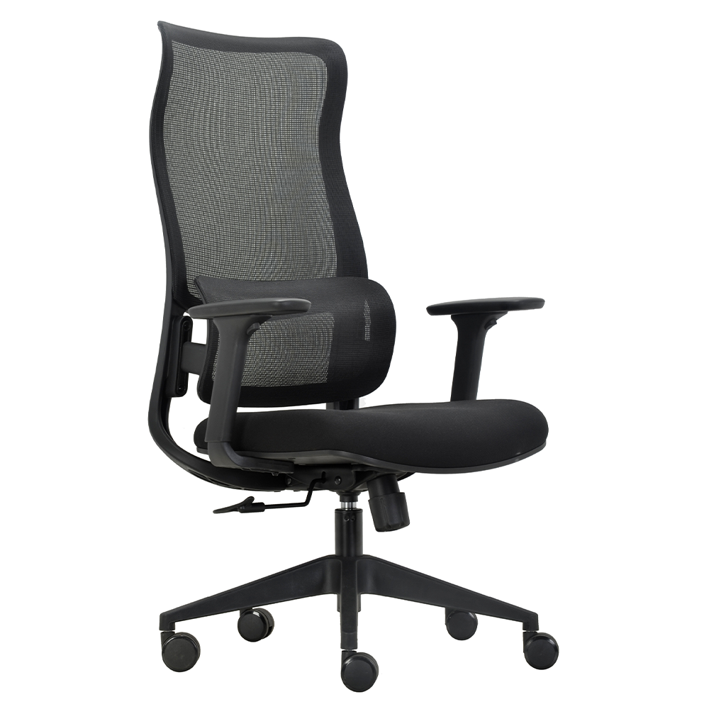 Swift Mesh Ergonomic Office Chair – Prodigy Office Furniture